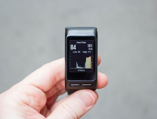 Garmin, investimenti adv in crescita; nel 2017 digital e native nella ...