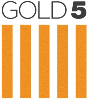 Gold 5, due novità per il 2016: offerta data-driven e programmatic